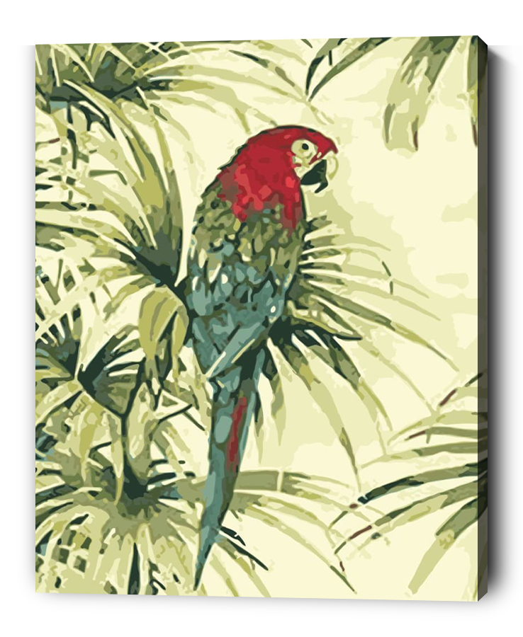 Parrot Paint By Numbers Kits – Craft Painting