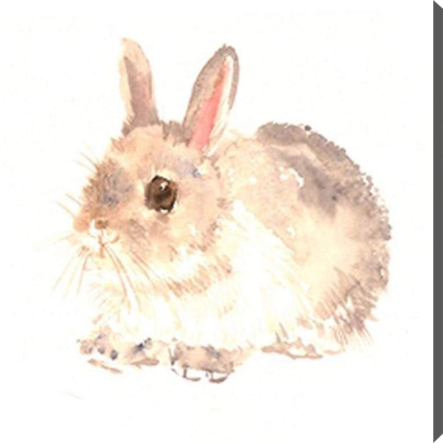Rabbit Diamond Painting Kits – Craft Painting