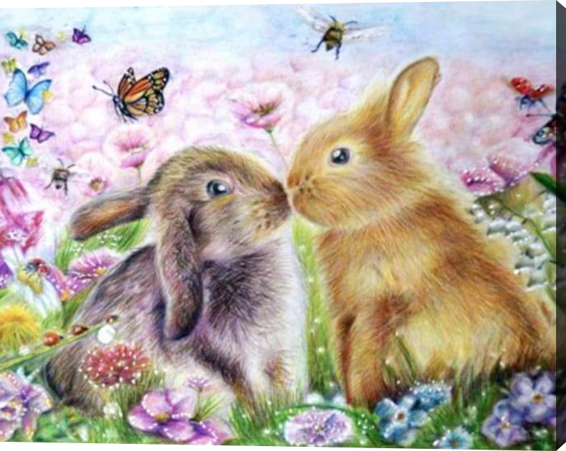 Rabbit Paint By Numbers Kits – Craft Painting