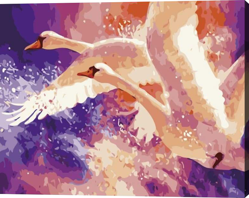 Swan Paint By Numbers Kits – Craft Painting